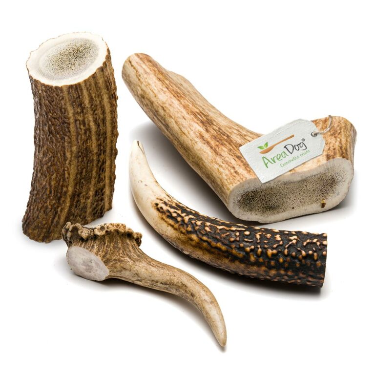 Corna di Cervo Ripiene - Area-Dog